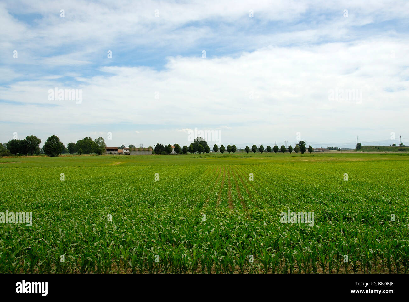Padan Plain Stock Photos & Padan Plain Stock Images - Alamy