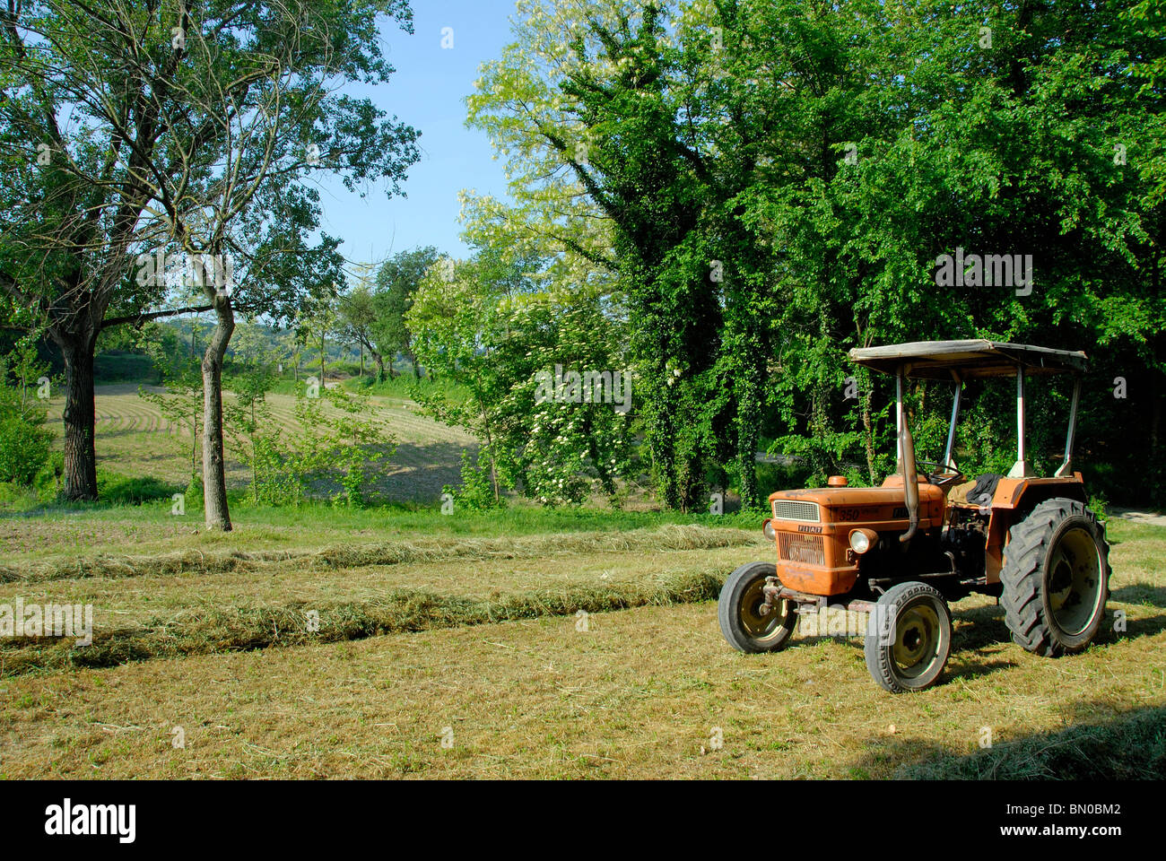 Tractor in hay field, Italy Stock Photo - Alamy