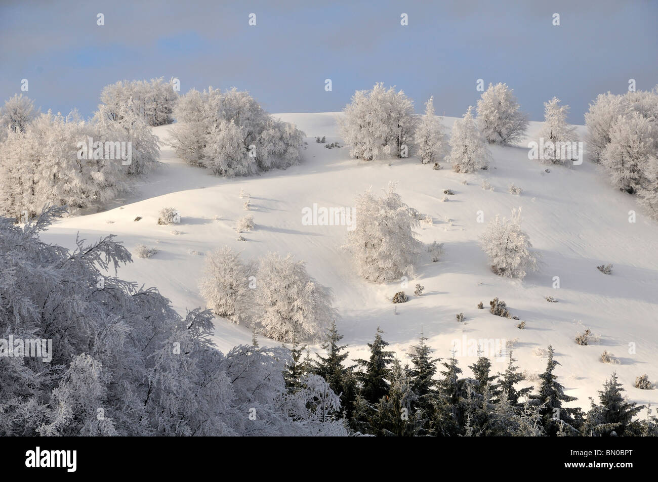 Winter landscape, Italy Stock Photo - Alamy