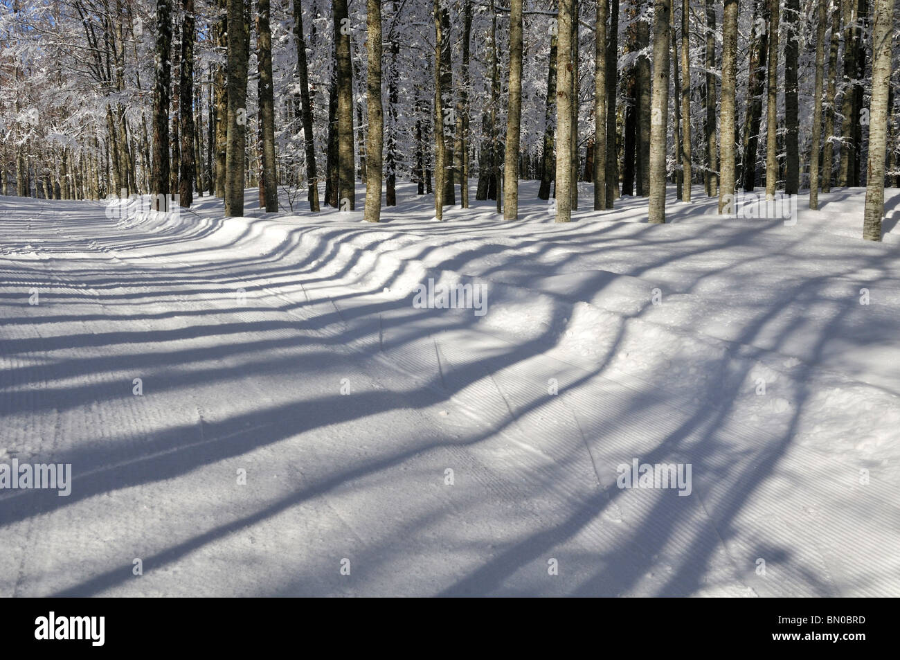Winter landscape, Italy Stock Photo - Alamy