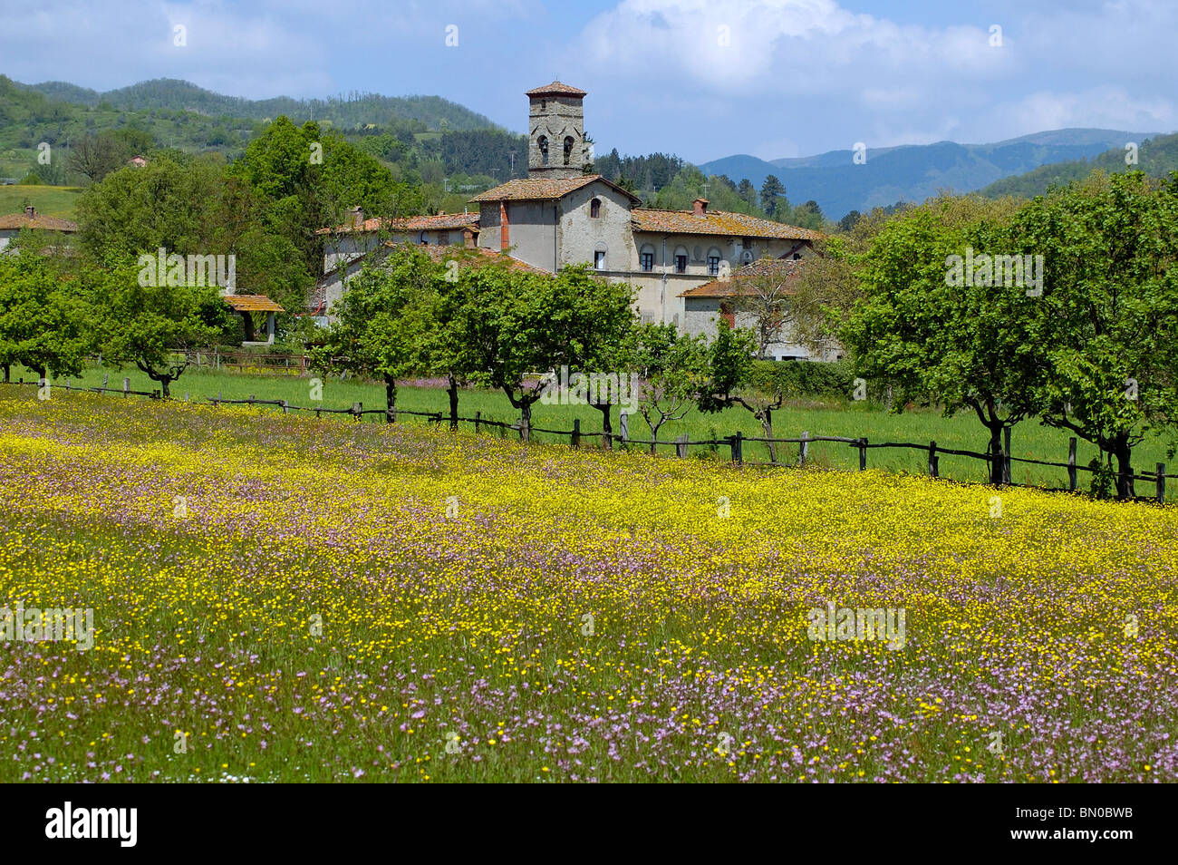 Mugello, Tuscany, Italy Stock Photo - Alamy
