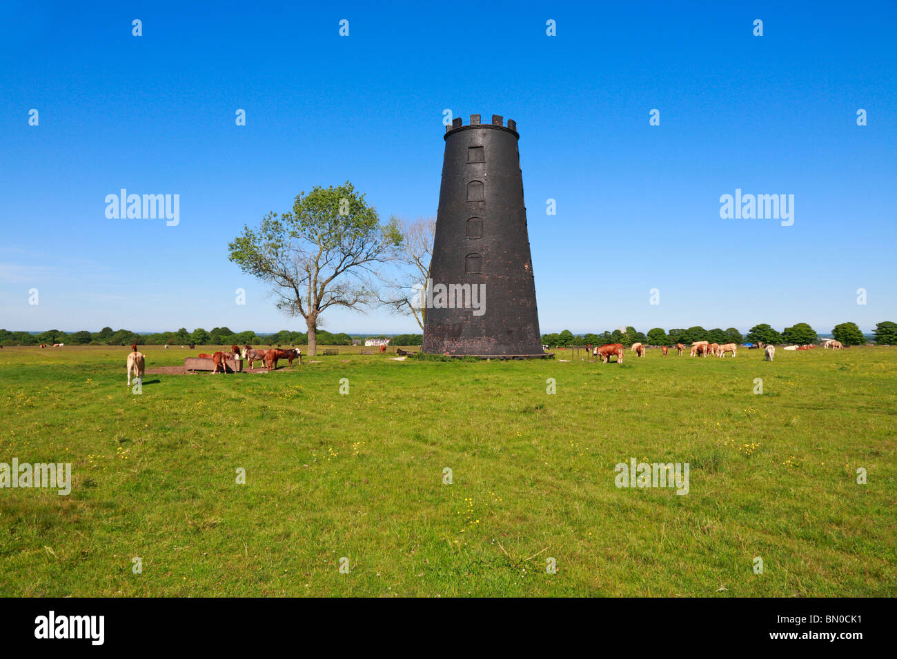 Black mill beverley westwood High Resolution Stock Photography and ...