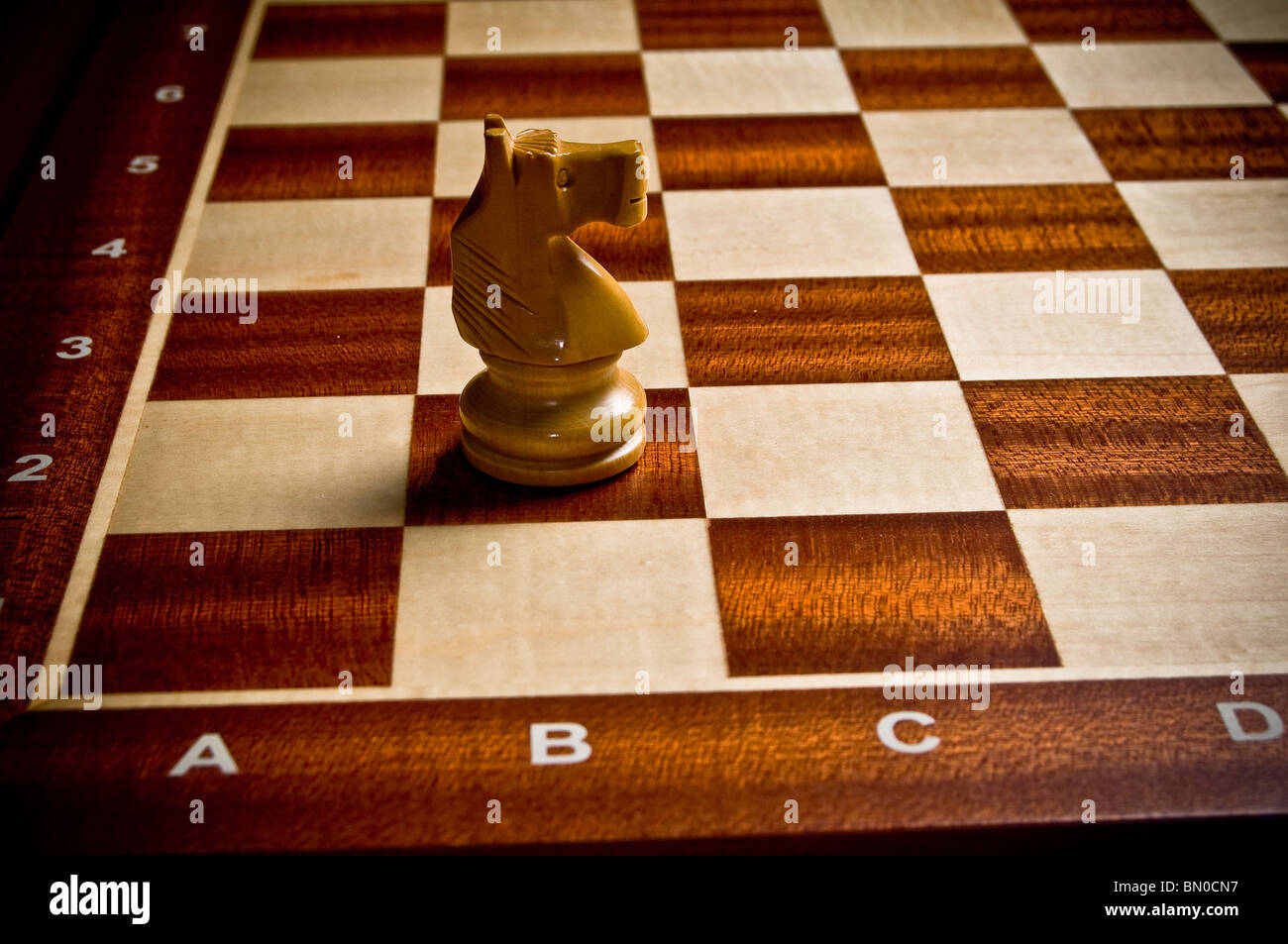 chess piece of Knight on a chessboard Stock Photo - Alamy