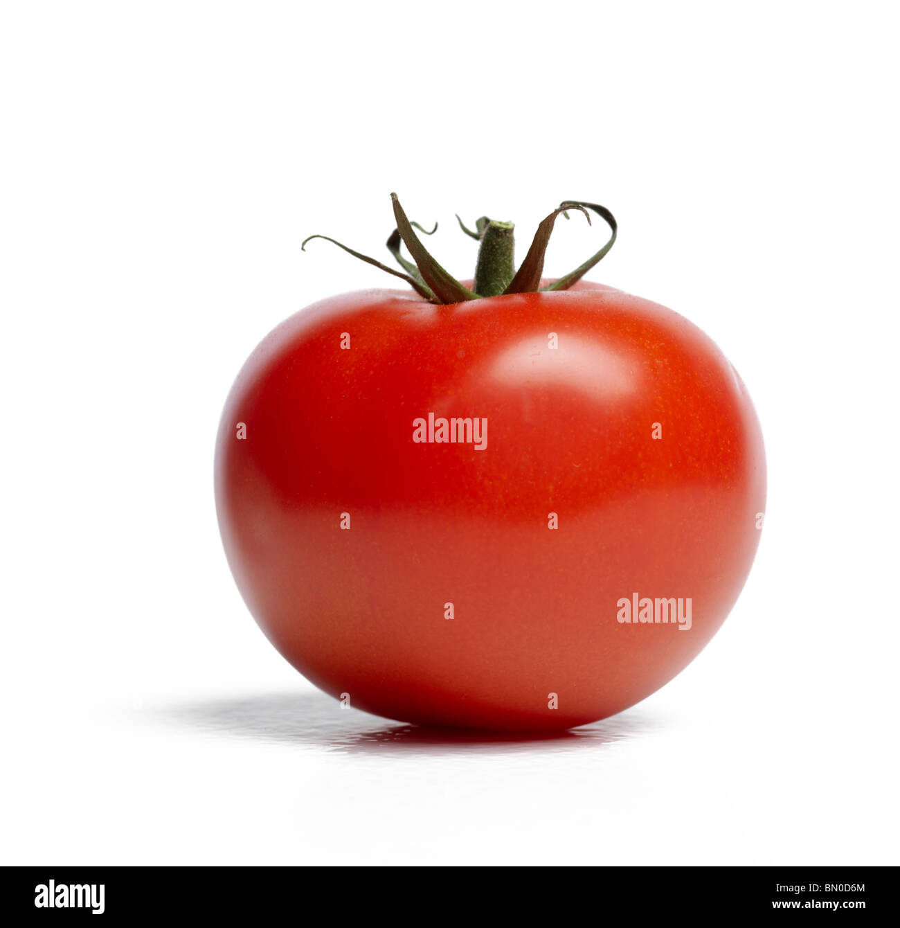 Tomato hi-res stock photography and images - Alamy