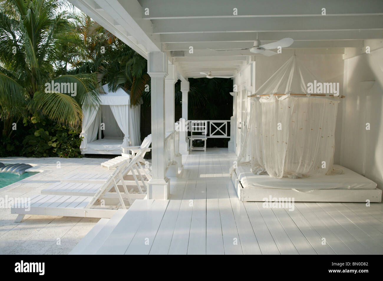 View over a pool with palm trees hi-res stock photography and images ...