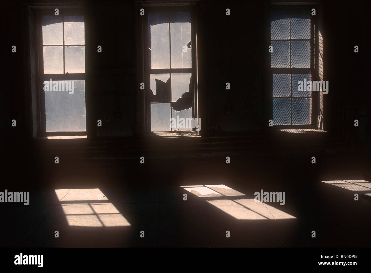 Looking out from a broken window Stock Photo - Alamy