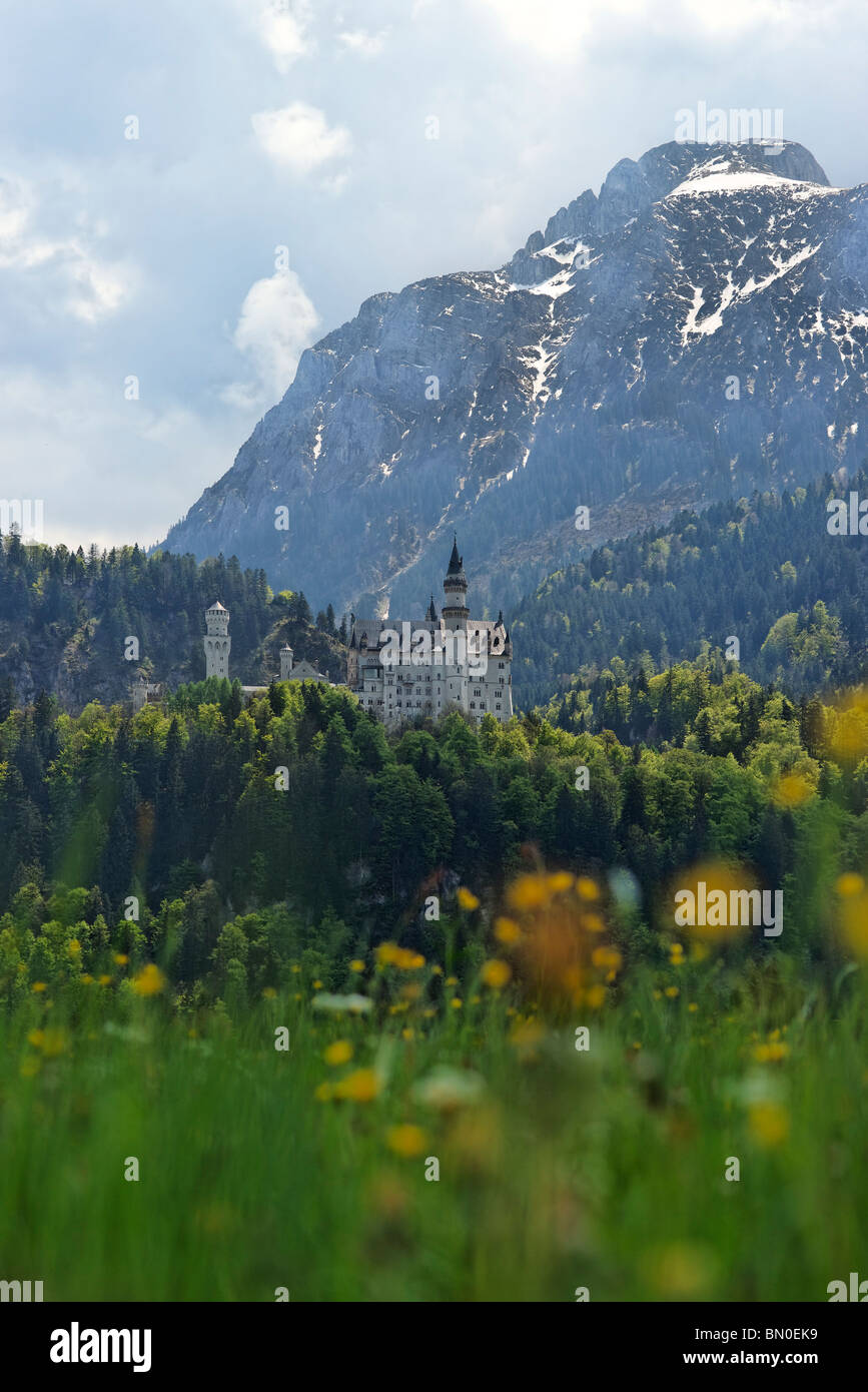 Vertical low view of Neuschwanstein Castle, Bavaria, Germany Stock ...