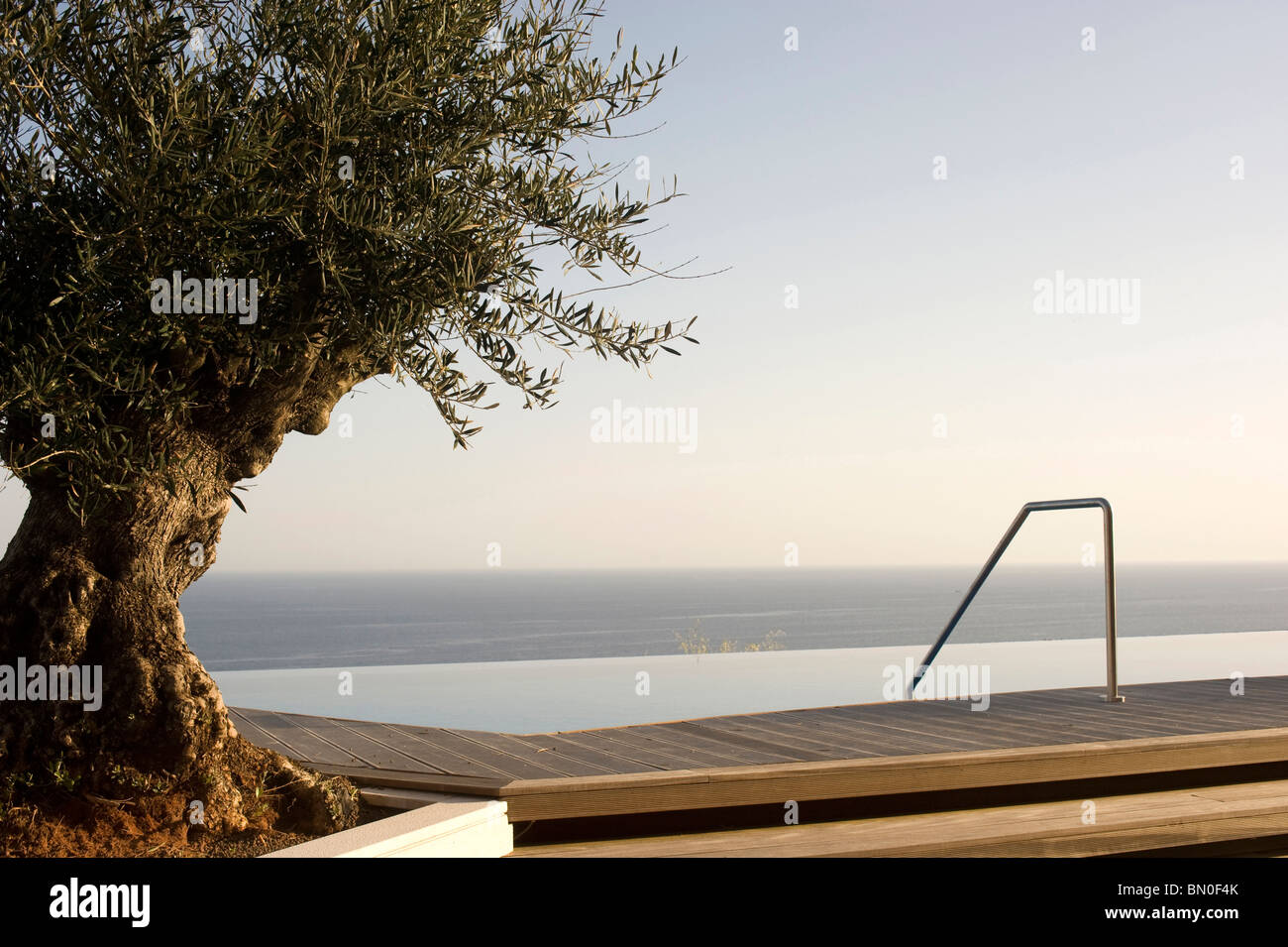 Olive tree swimming pool hi-res stock photography and images - Alamy