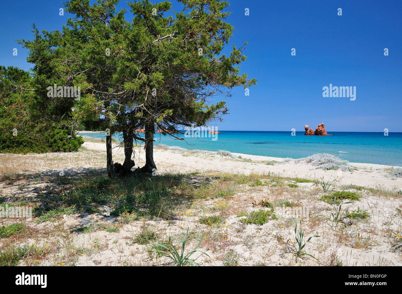 Cea beach hi-res stock photography and images - Alamy