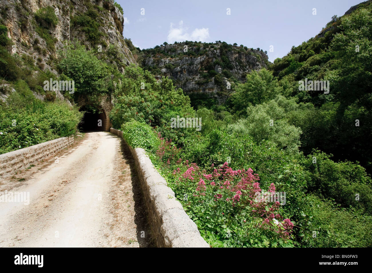 Anapo sicily river hi-res stock photography and images - Alamy