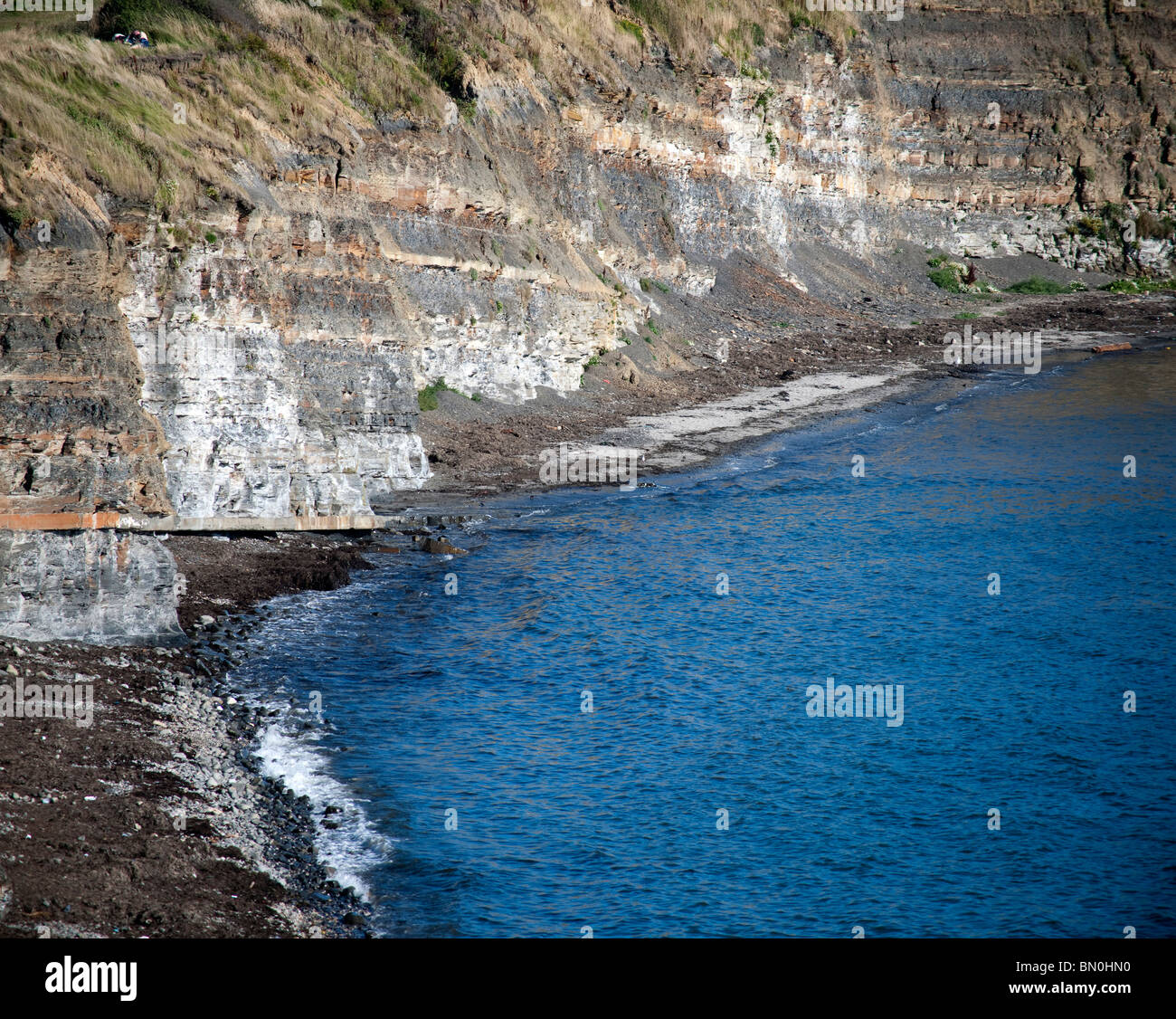 rocks on the cliffs at kimmeridge bay on the south west coast path ...