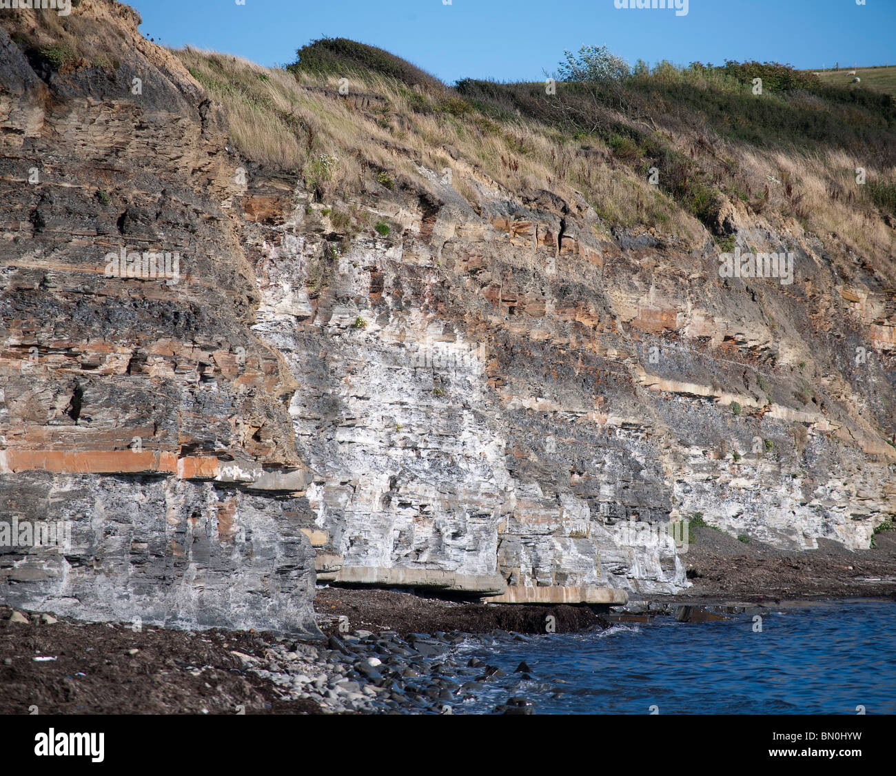 rocks on the cliffs at kimmeridge bay on the south west coast path ...