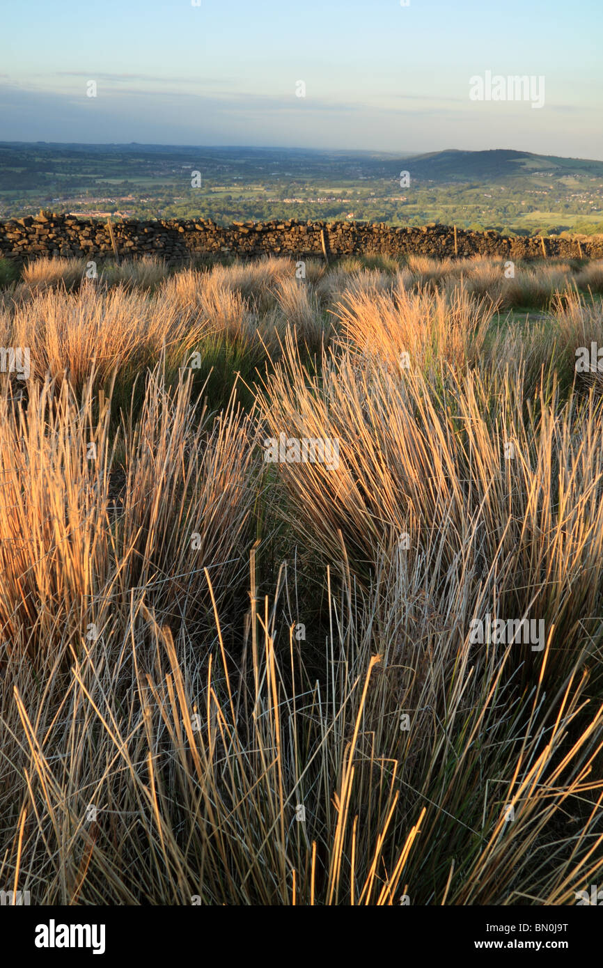 Lower wharfedale hi-res stock photography and images - Alamy