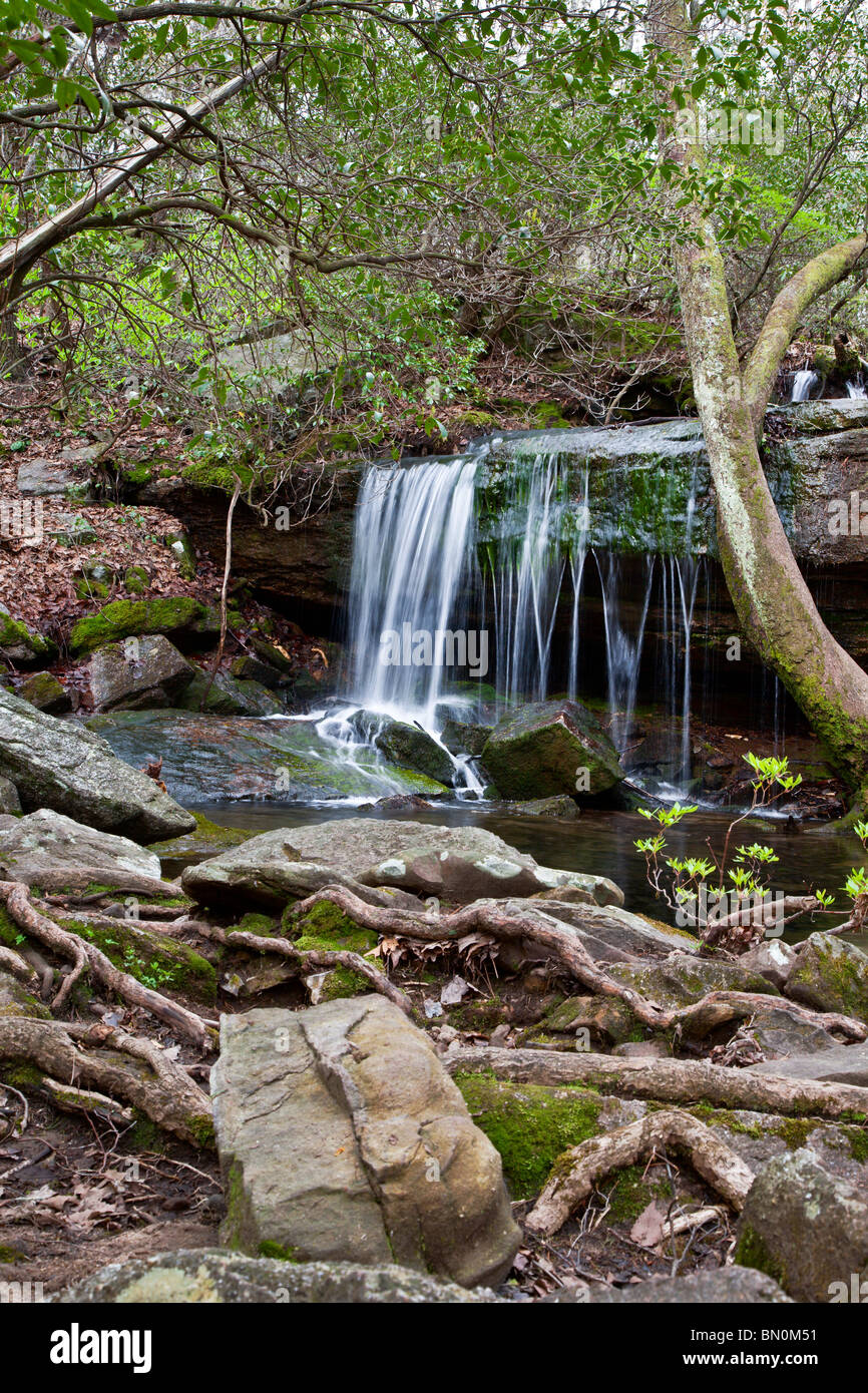 Fort Payne, AL - Apr 2009 - Waterfall in DeSoto State Park at Fort ...
