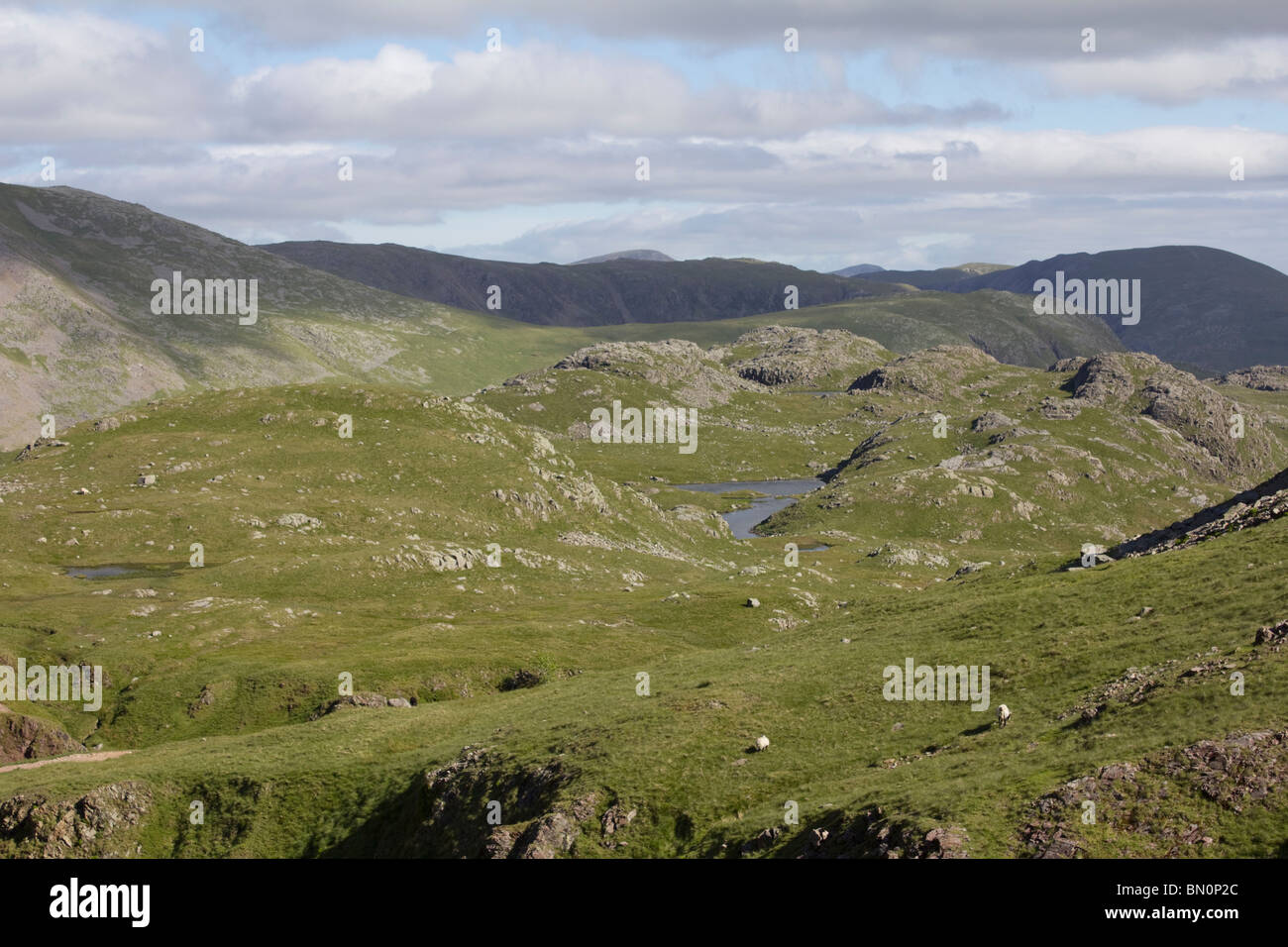 Sprinkling Tarn and Seathwaite Fell from Esk Hause, Lake District ...