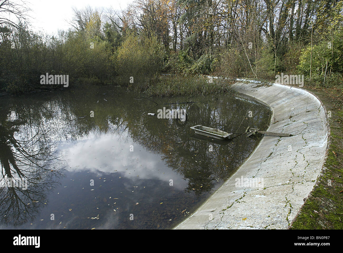 Ducker High Resolution Stock Photography and Images - Alamy