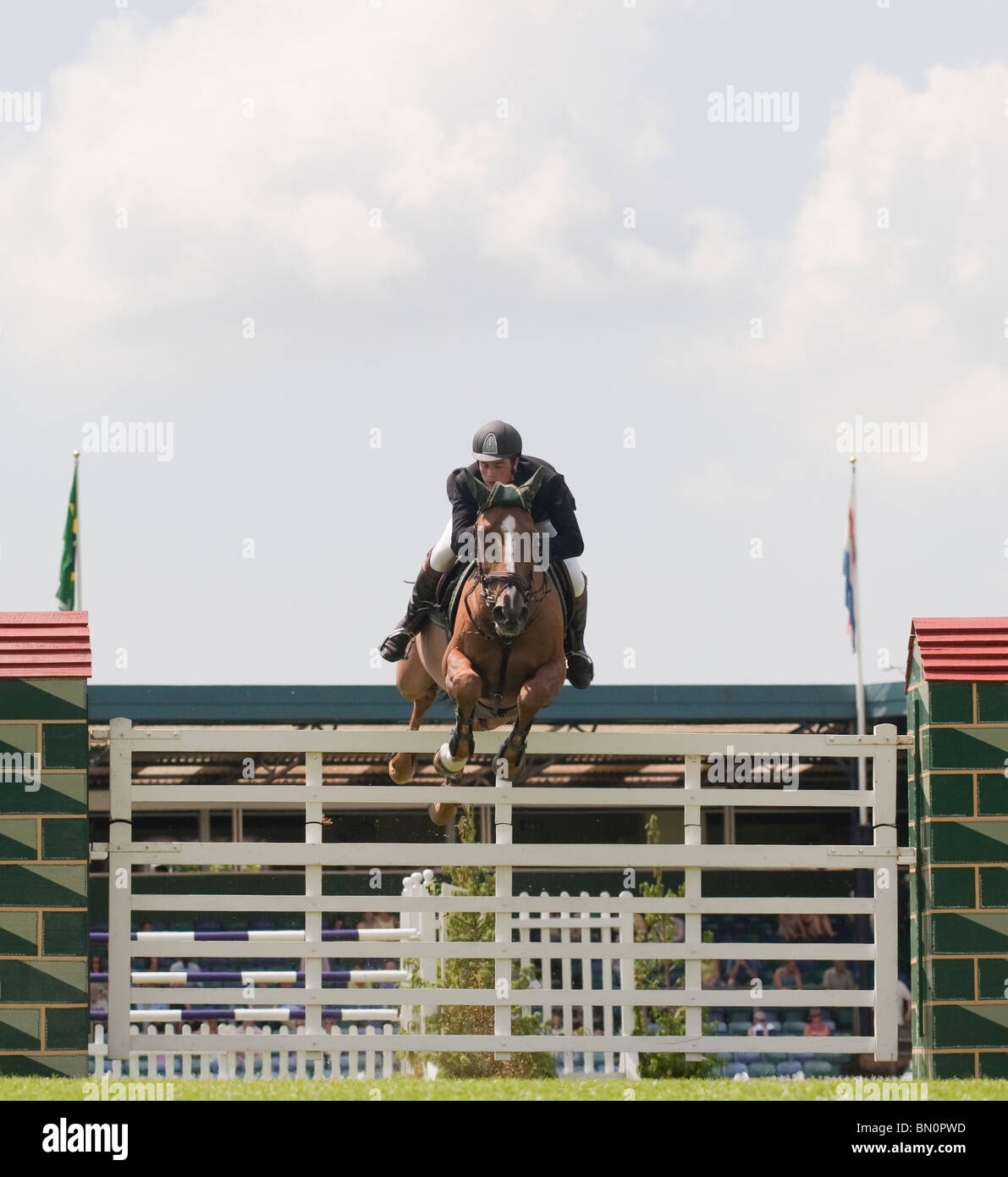 Horses Jumping Really High And Falling