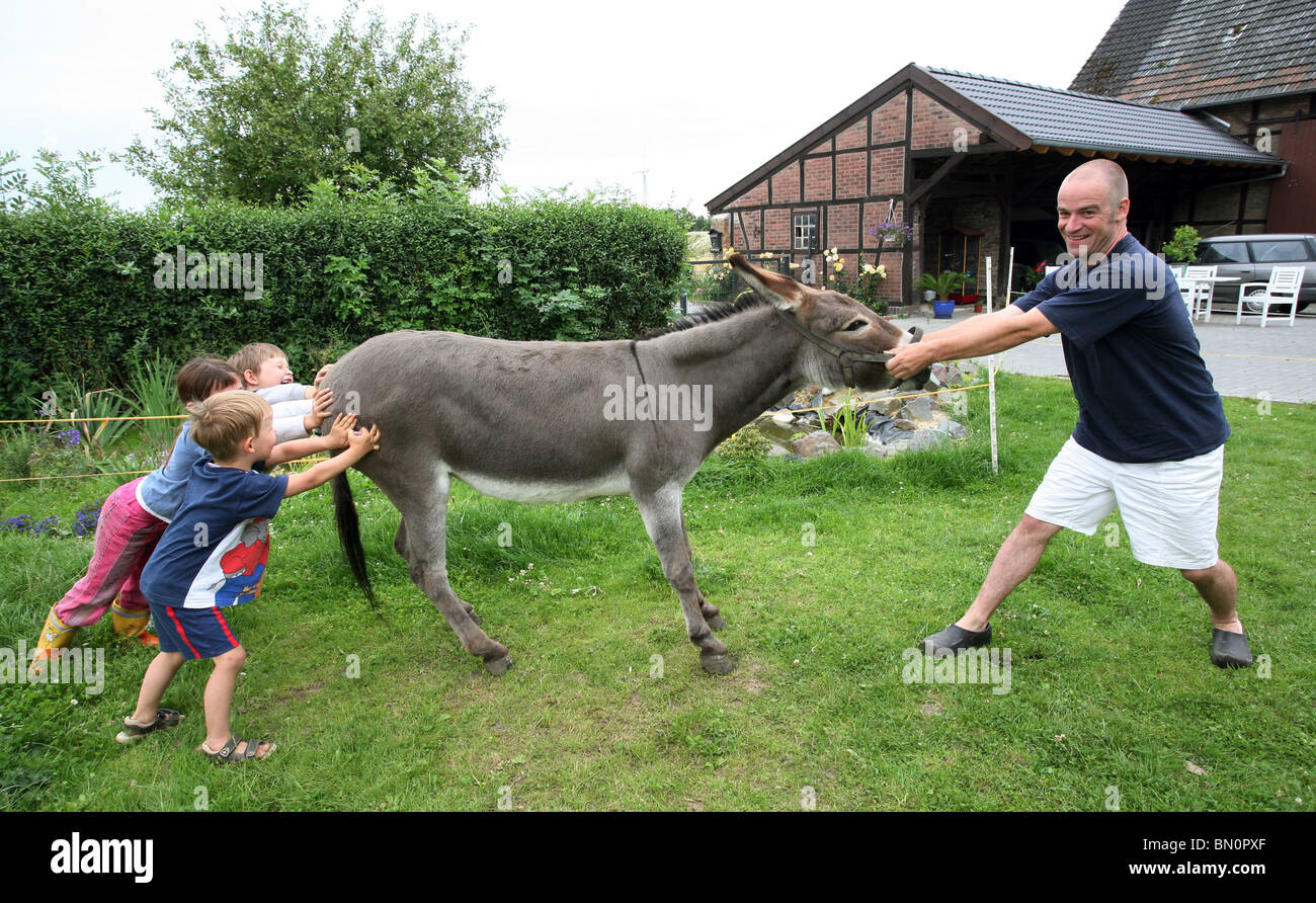Stubborn Donkey Family Guy