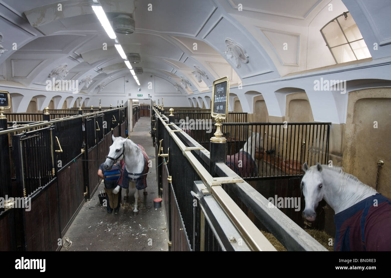 Vienna high school hi-res stock photography and images - Alamy