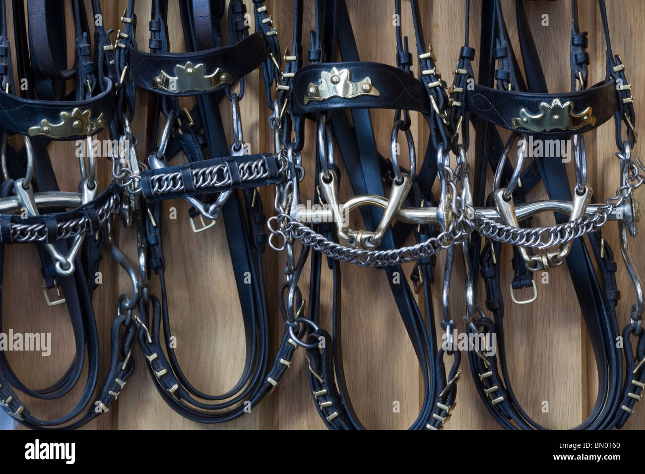 Bridles hi-res stock photography and images - Alamy