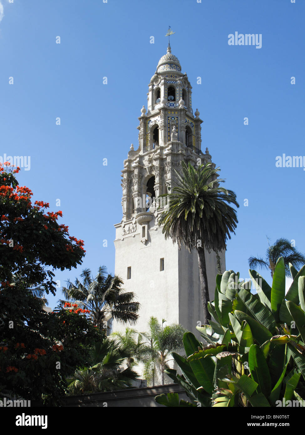 Bell tower palm tree hi-res stock photography and images - Alamy
