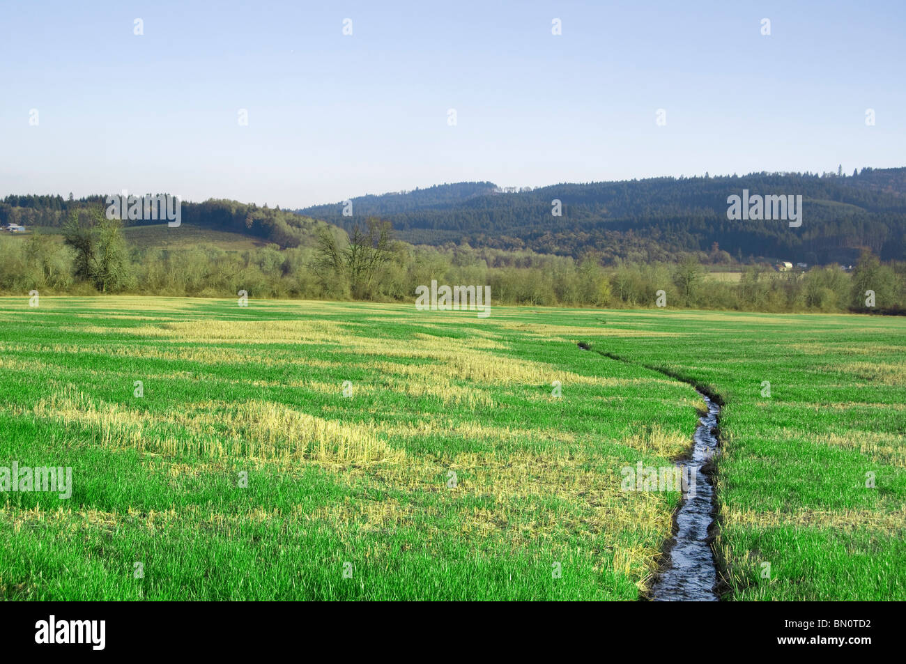Water flowing through little canal hi-res stock photography and images ...