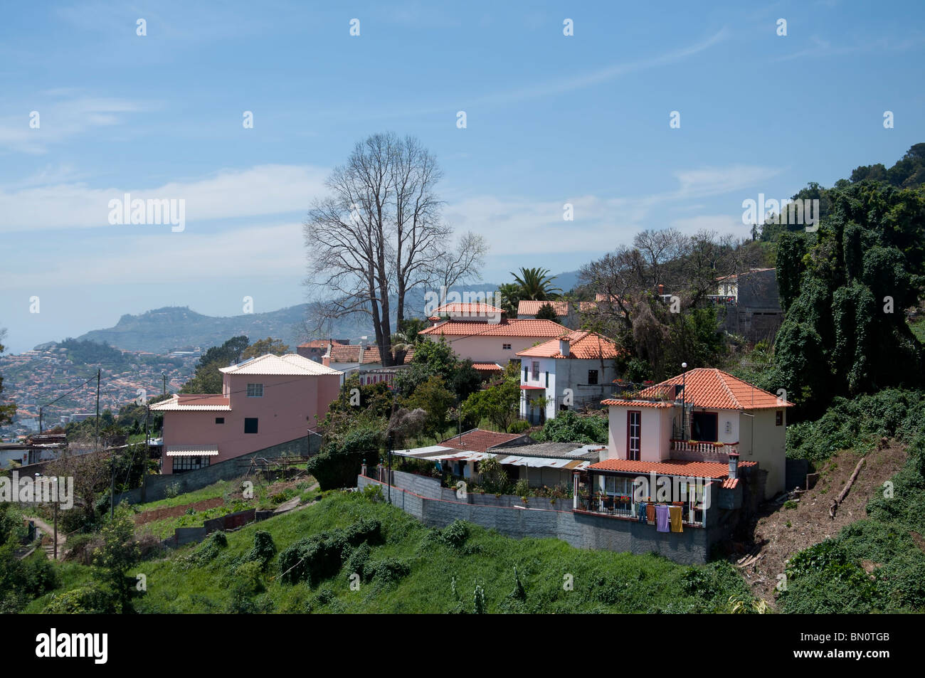 An aerial view of houses on a mountain in Funchal, Madeira, Portugal ...