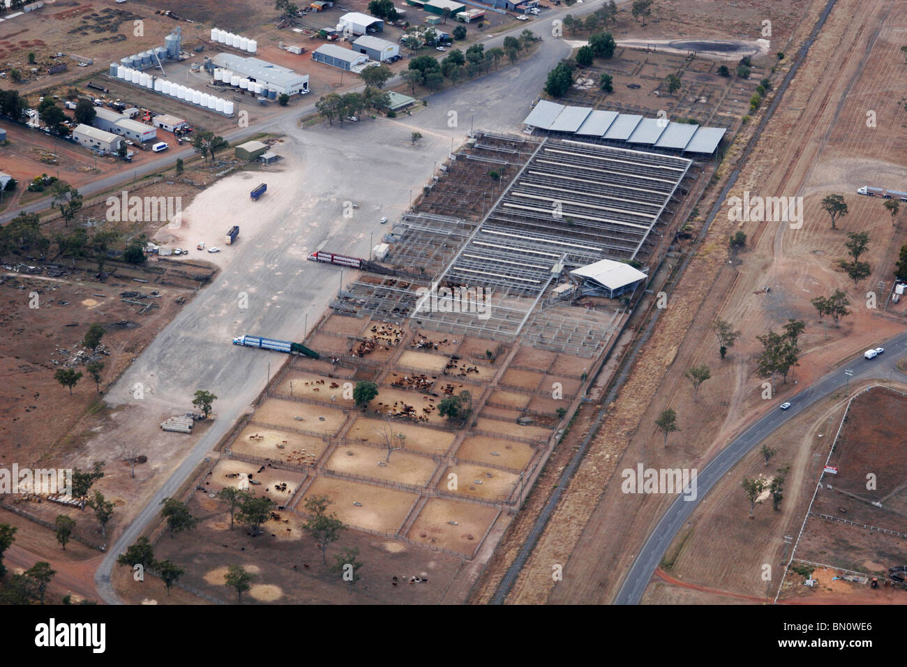 cattle holding yard Stock Photo - Alamy