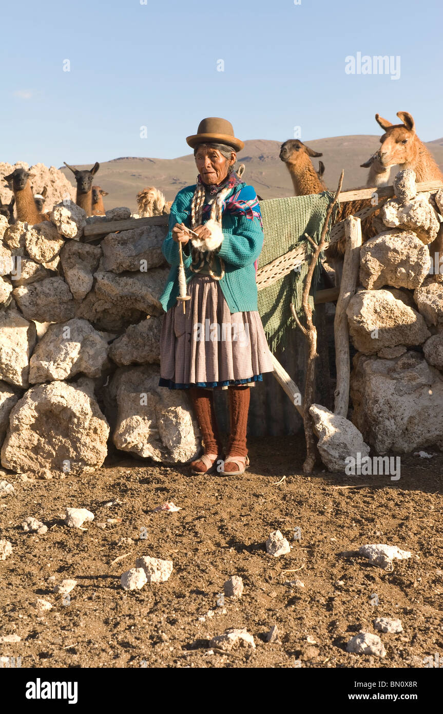 Llama Herdswoman wearing a bowler hat, also called Bombin; San Juan ...