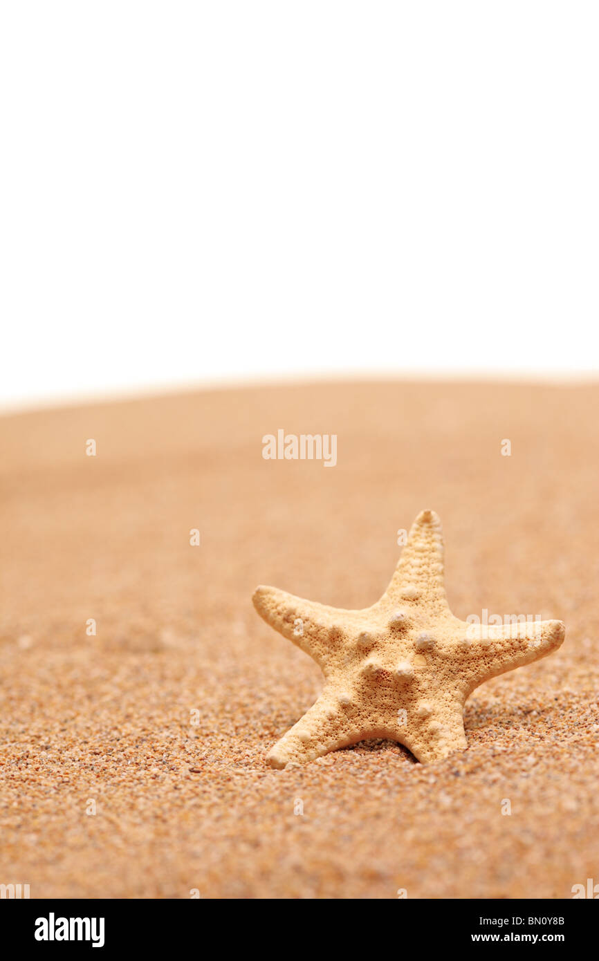 Texture Of Natural Pattern On Beach High Resolution Stock Photography ...