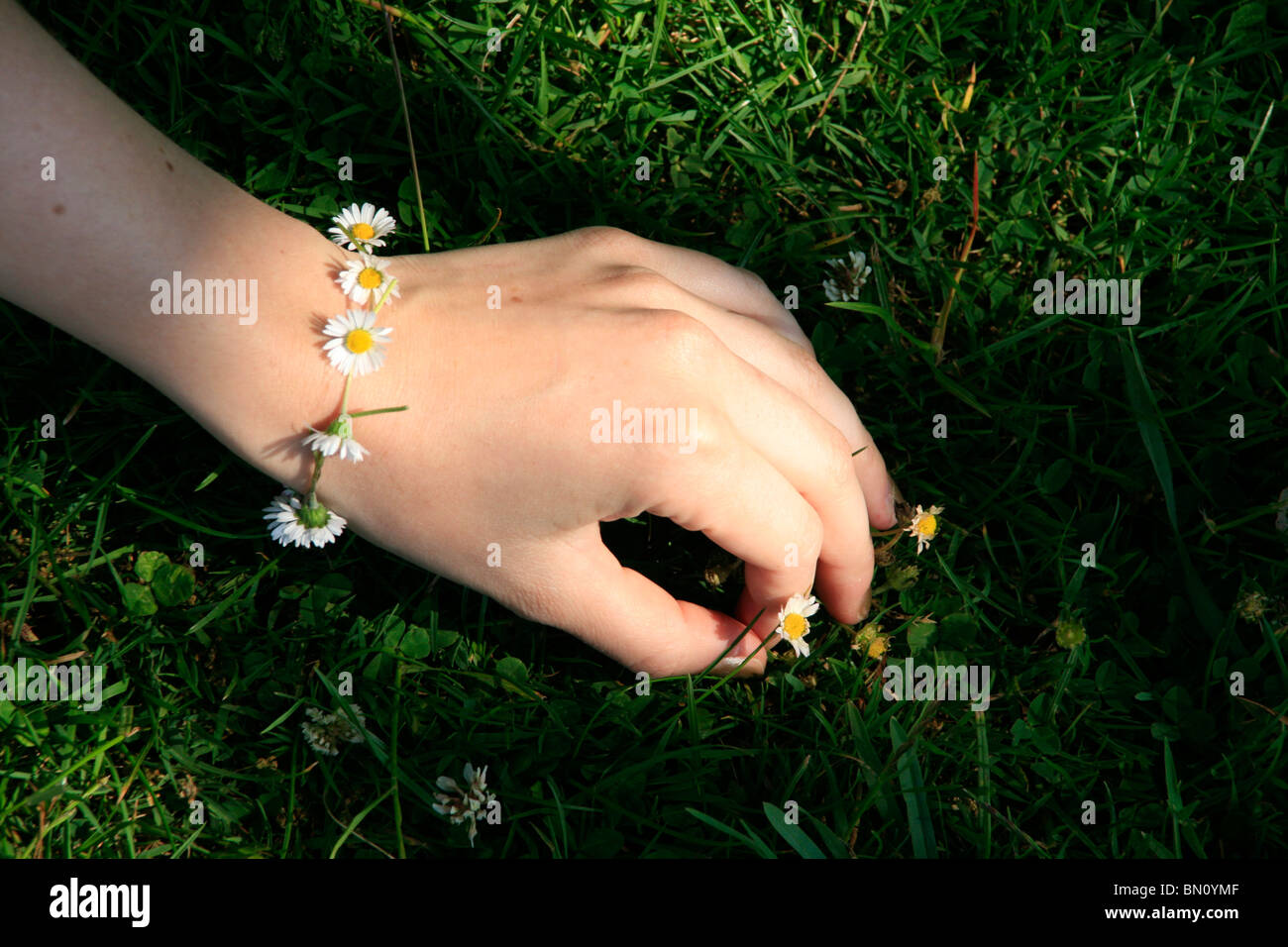 Daisy chain hi-res stock photography and images - Alamy