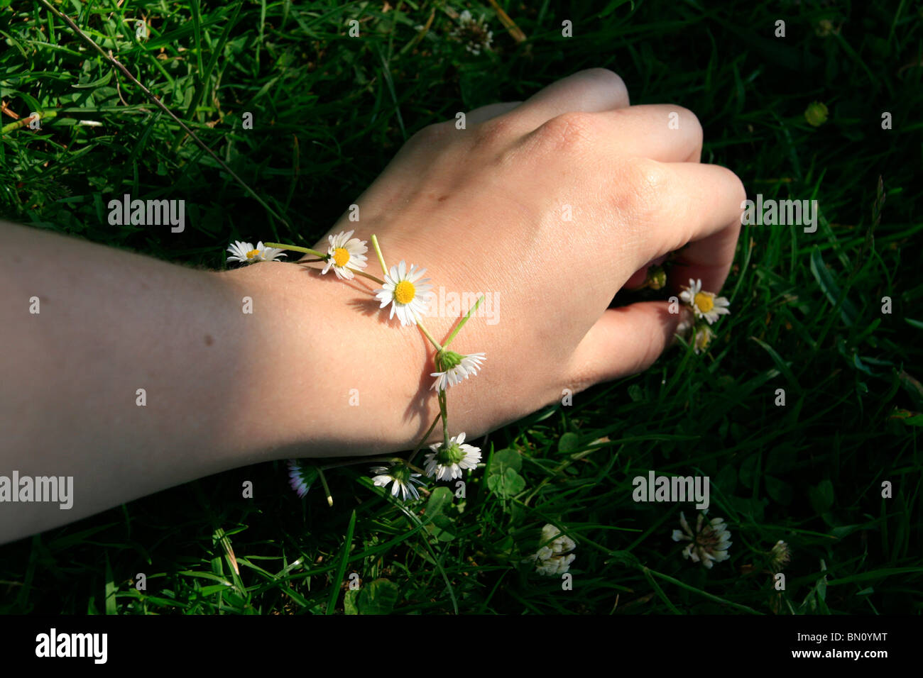Daisy icon hi-res stock photography and images - Alamy