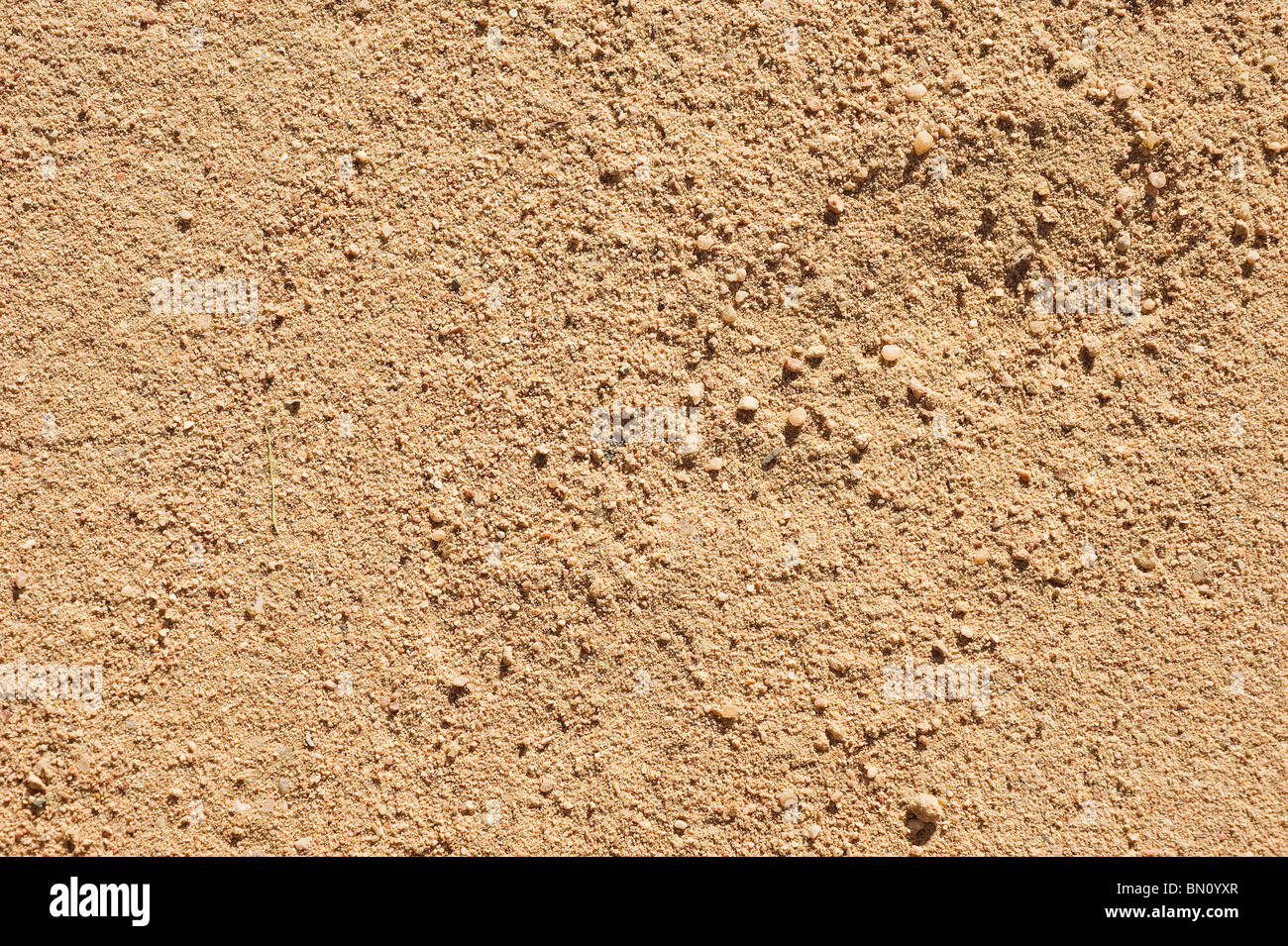 Closeup detail of sand on a beach creating a background texture Stock ...