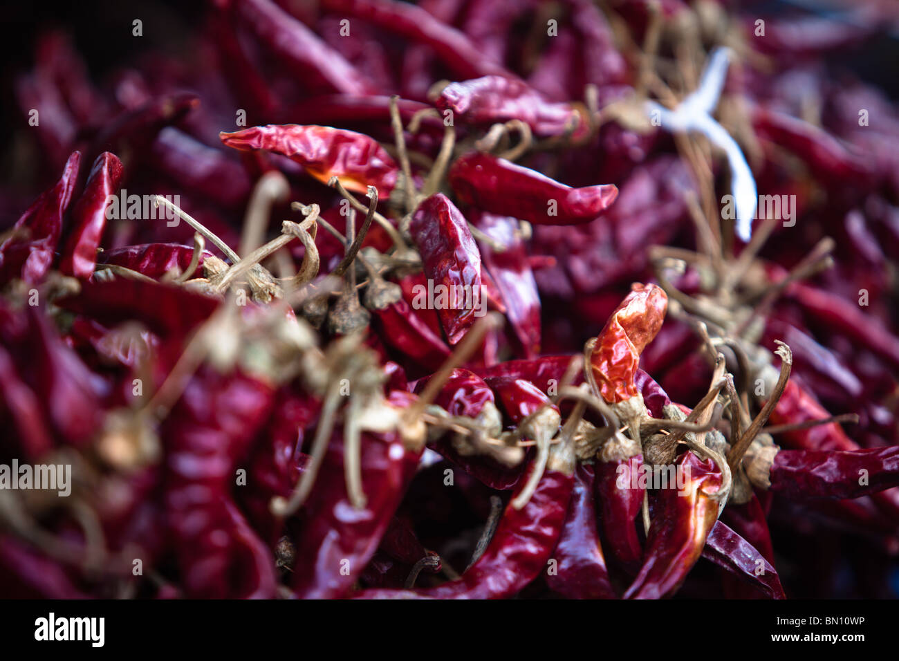 Dried chillies captured at a market Stock Photo - Alamy