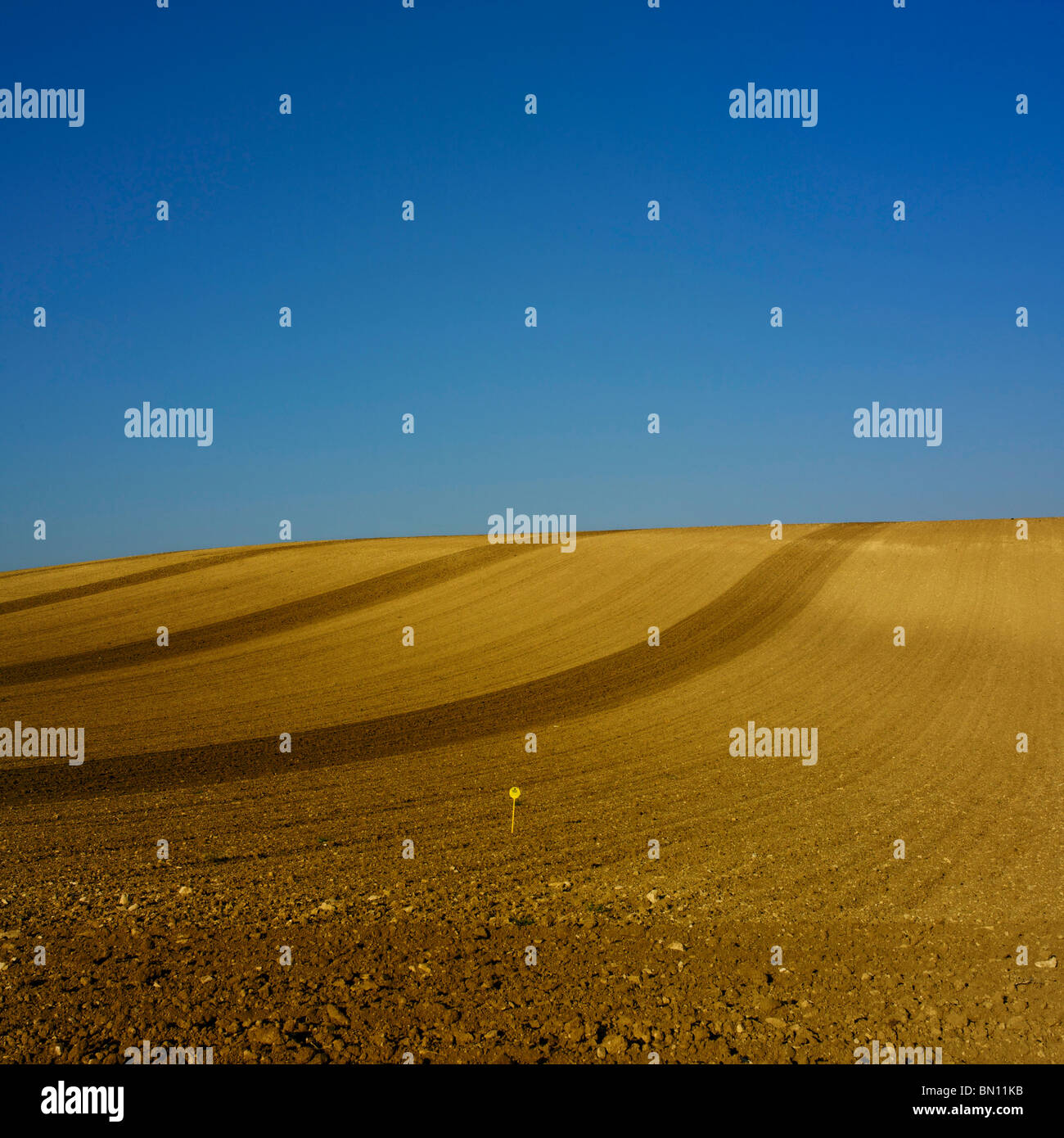 Plowed empty field and blue sky Stock Photo - Alamy