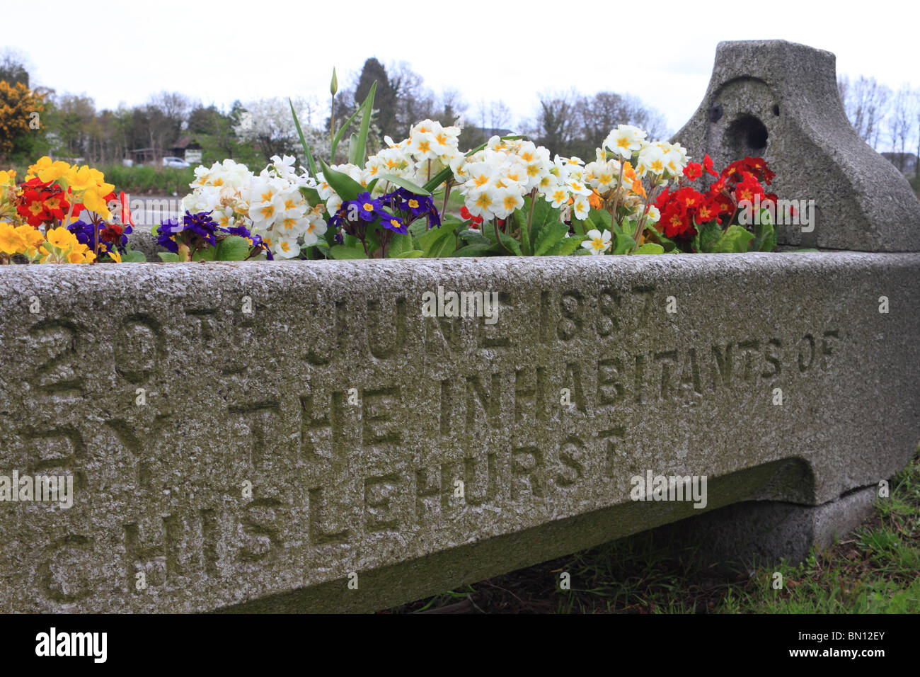 Victorian cattle trough planted with flowers, Chislehurst, Kent Stock ...