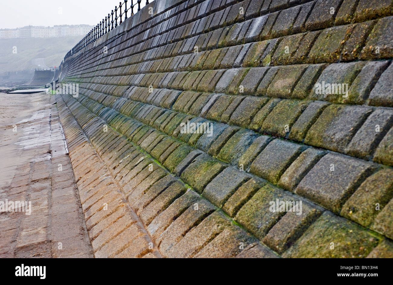 A sea wall defense covered in algae on the beach Stock Photo - Alamy
