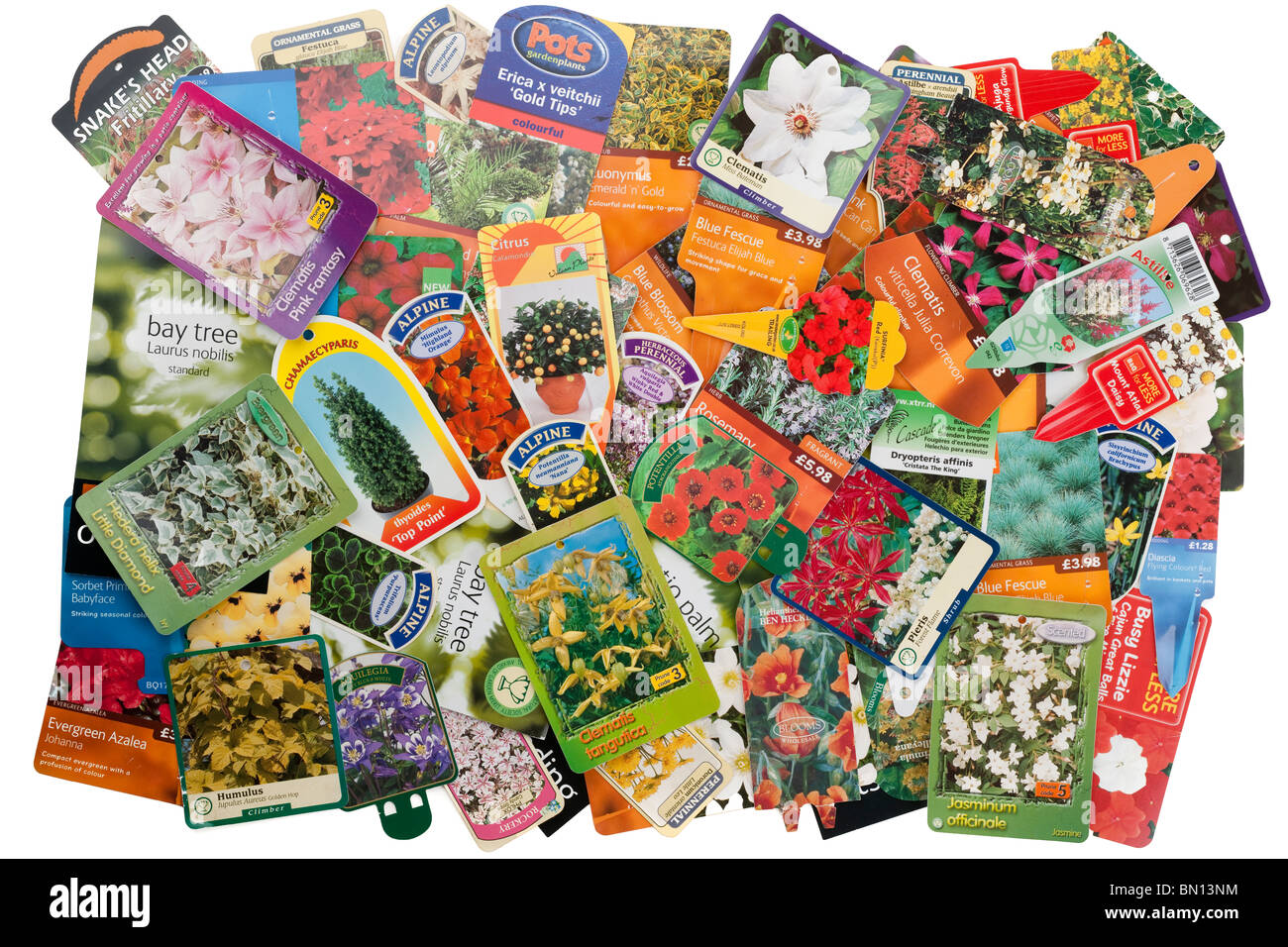 Close up plant label hi-res stock photography and images - Alamy