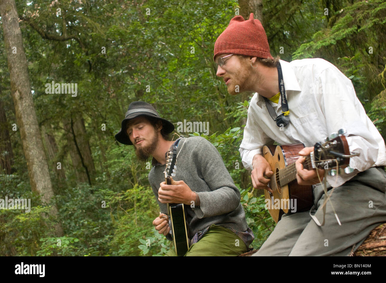 Camping Musicians play guitar and sing a tune in the Redwoods Stock ...