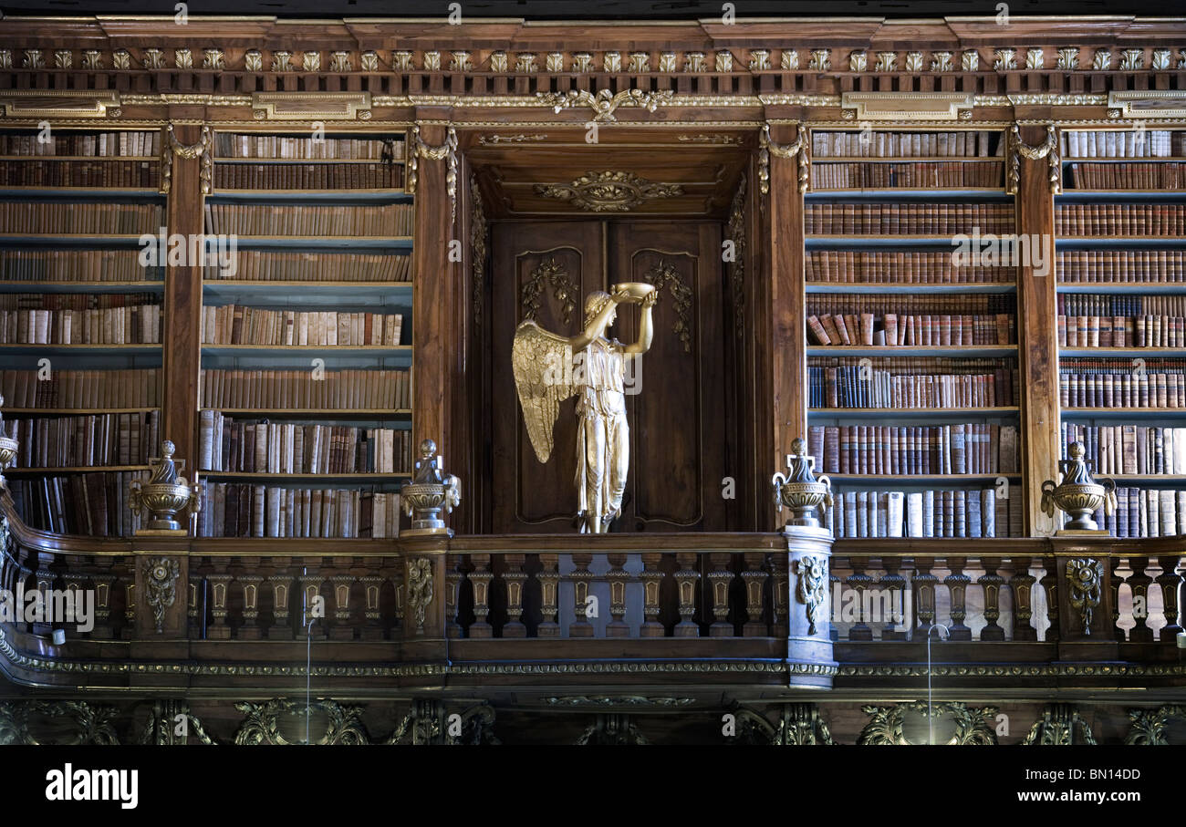 Details of a Baroque library Stock Photo - Alamy