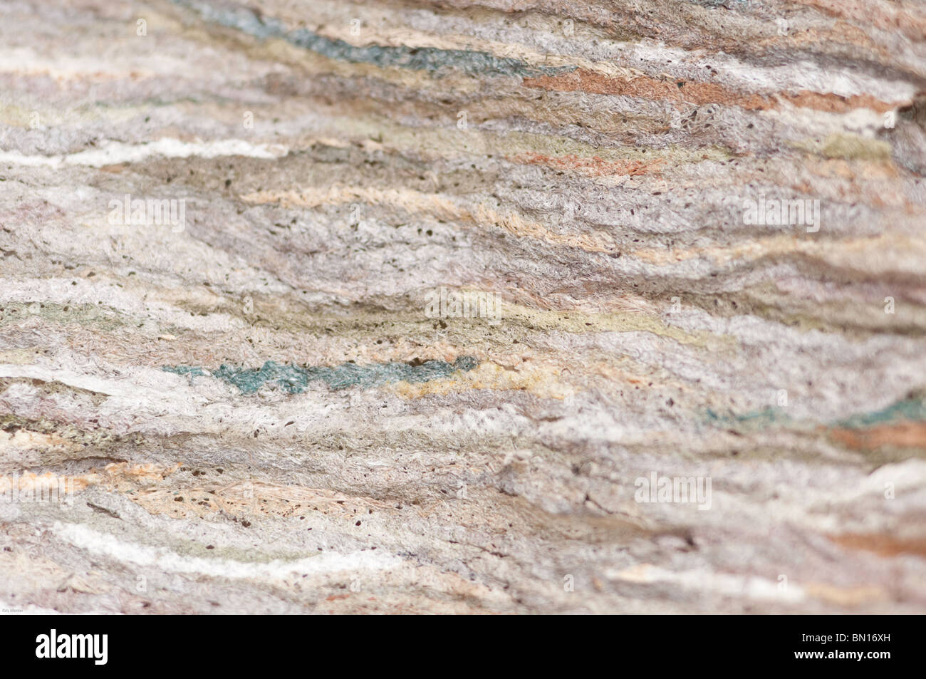 Paper pulp type wasps nest showing how it is made up of different ...