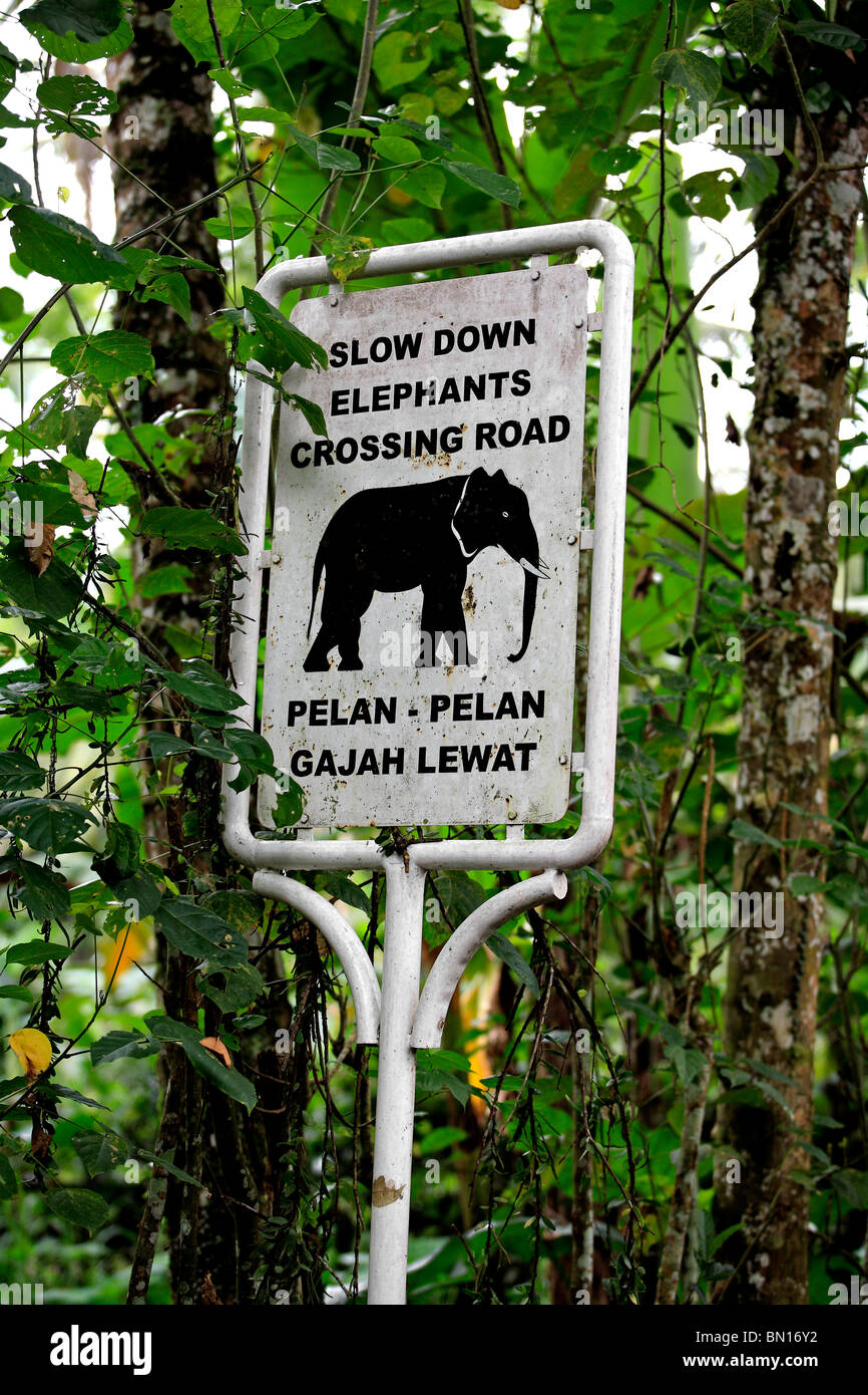 Warning sign elephants hi-res stock photography and images - Alamy