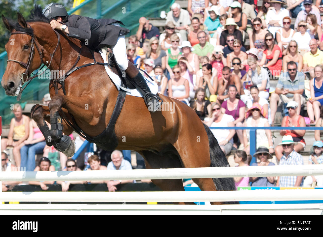 Hickstead Water Jump High Resolution Stock Photography and Images - Alamy