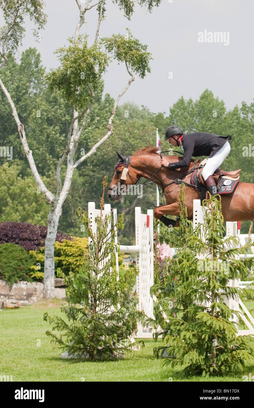 Showjumping jump hi-res stock photography and images - Alamy