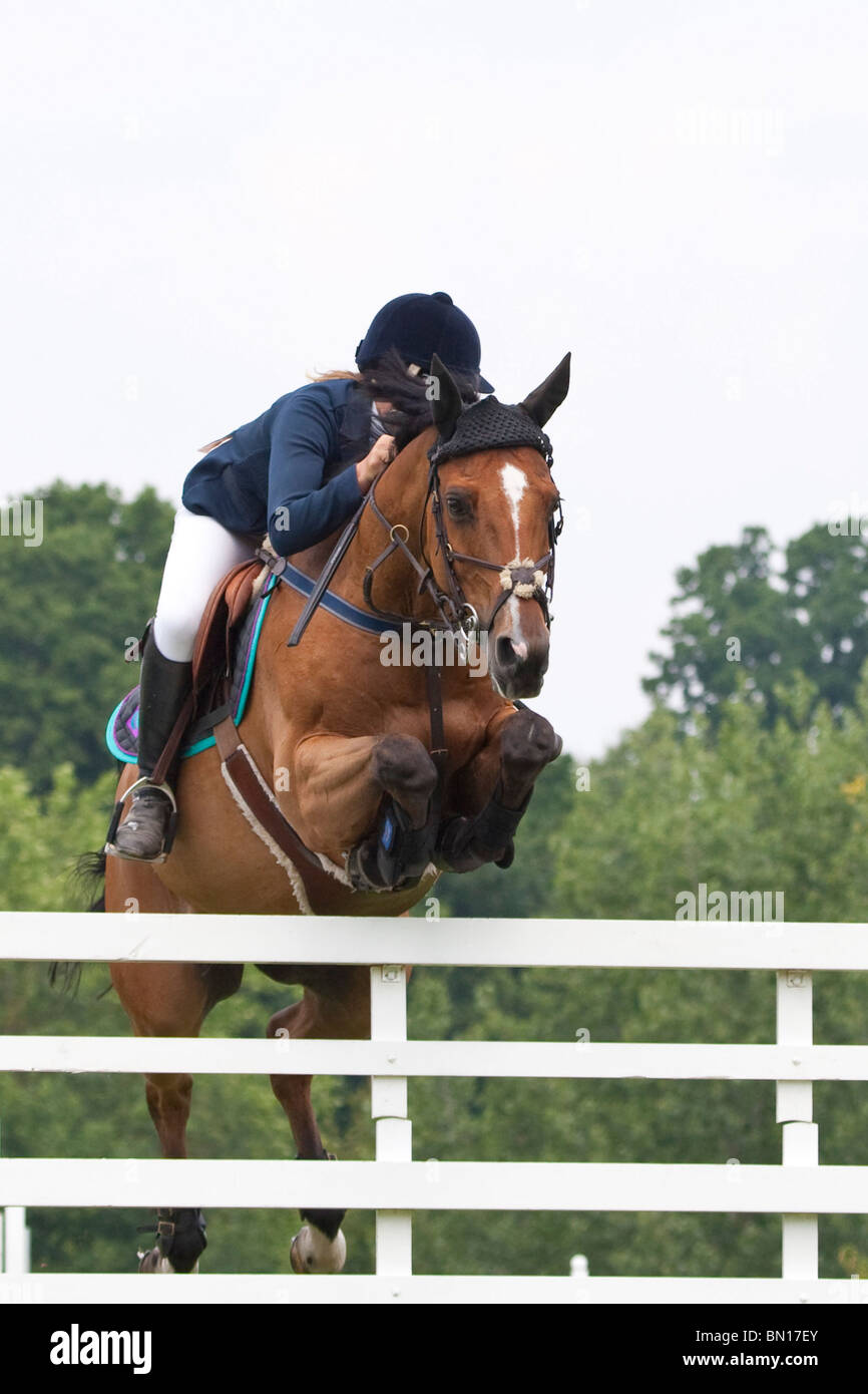 Hickstead Water Jump High Resolution Stock Photography and Images - Alamy
