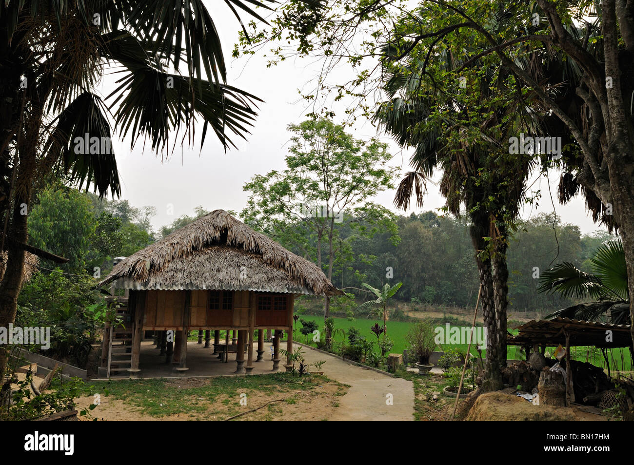 A house in rural northern Vietnam Stock Photo - Alamy