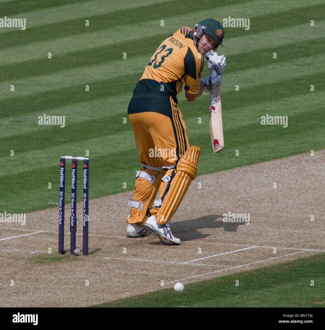 Shane Watson Cricketer 2022