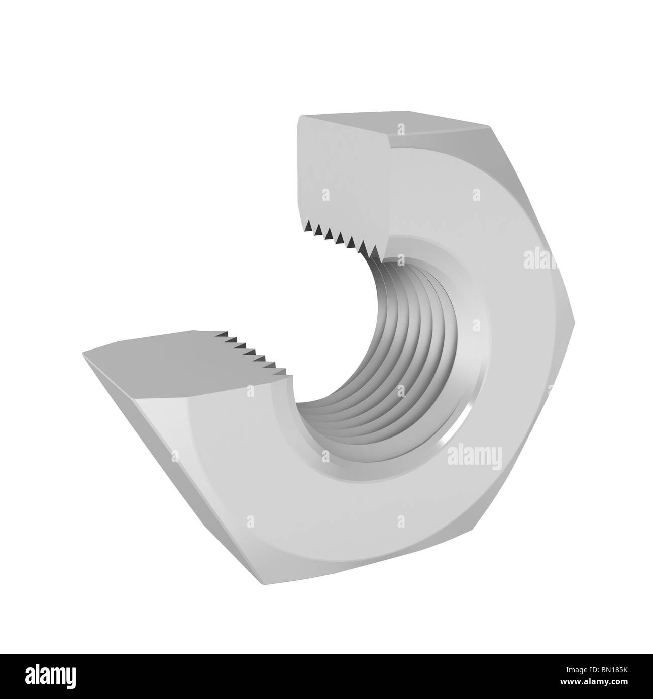 Three-dimensional model - internal structure of the female screw Stock ...