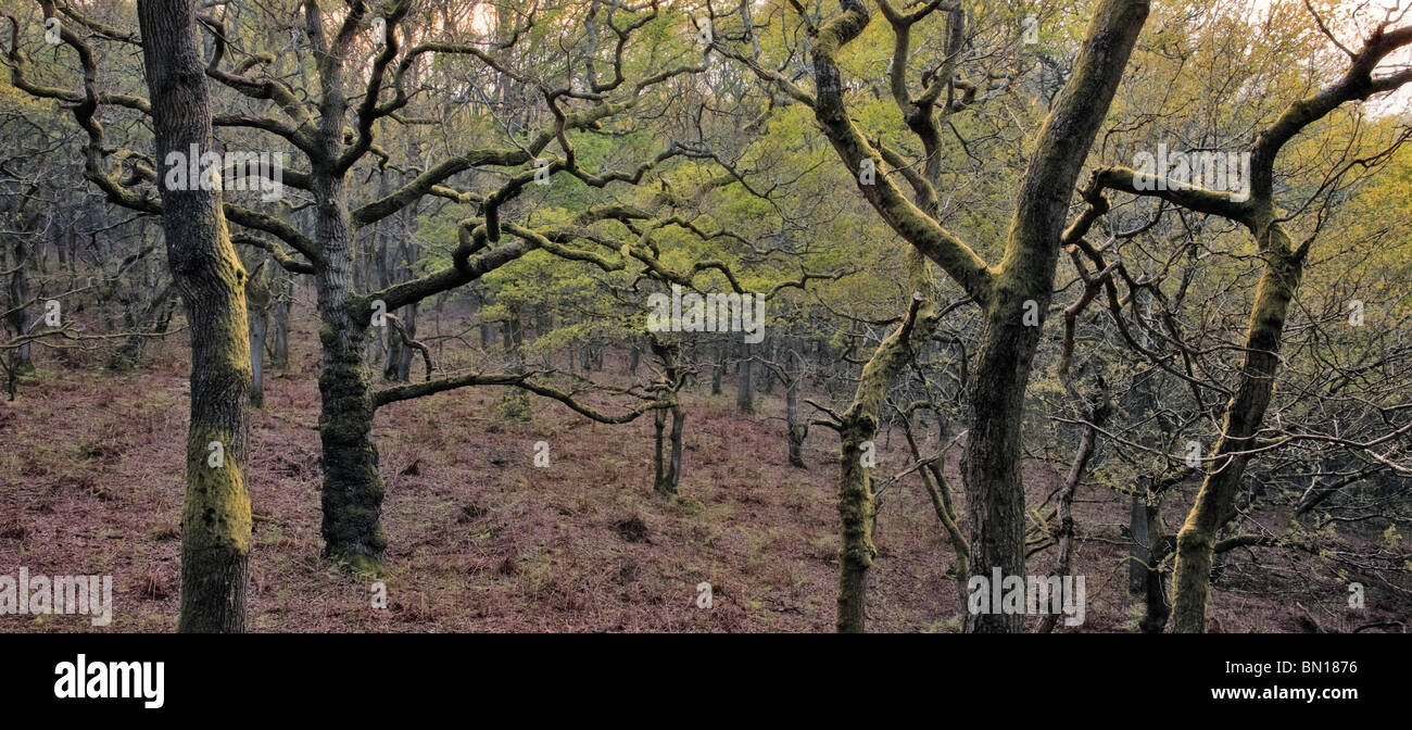 Old kent england hi-res stock photography and images - Alamy