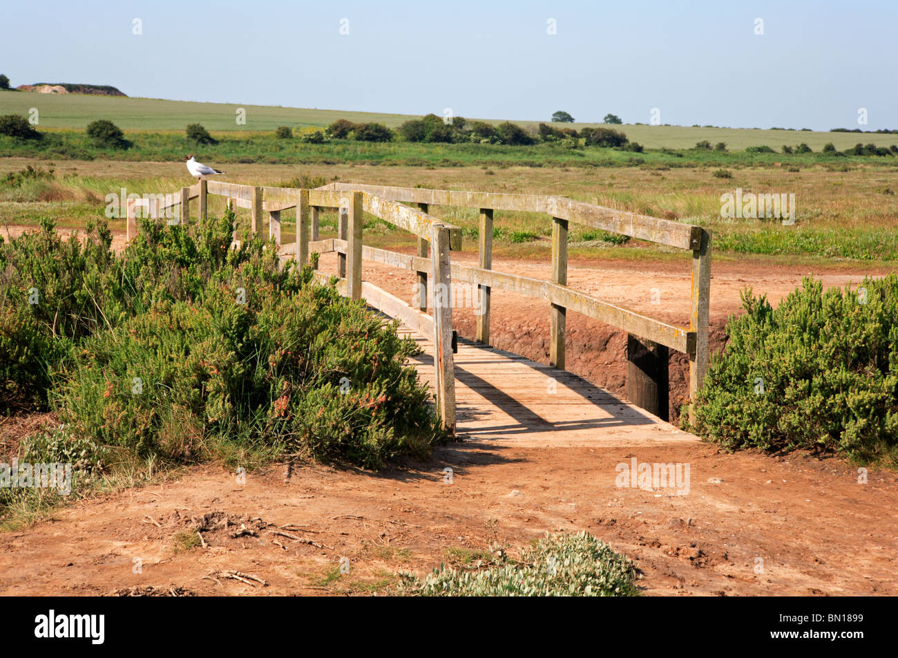 Stiffkey Marsh High Resolution Stock Photography and Images - Alamy